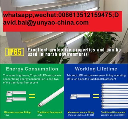 Tri-proof sensor LED Fitting