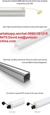Tri-proof LED Fitting