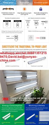 Tri-proof LED Fitting