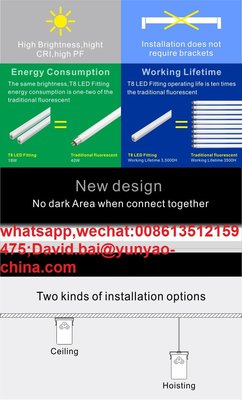 1.5M DIY T8 LED Fitting