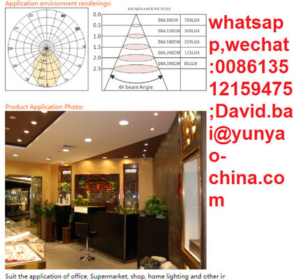10W COB LED Downlight