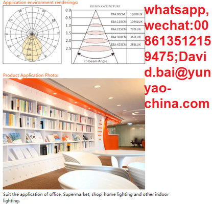 20W COB LED Downlight