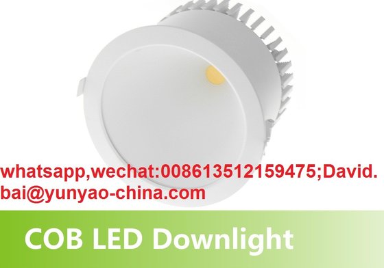 30W COB LED Downlight