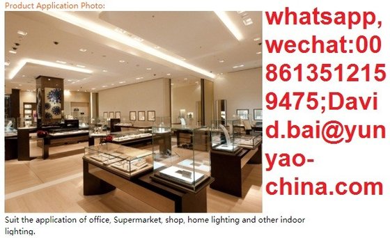 30W COB LED Downlight