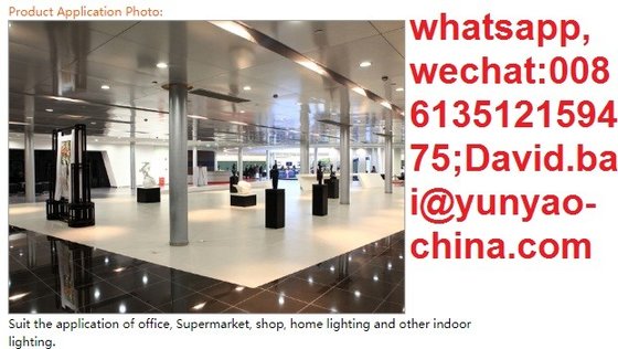40W COB LED Downlight