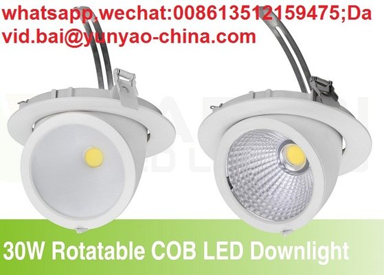 30W Rectangular COB LED Downlight