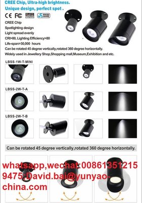 LBSS-2W-T-A Cabinet Light