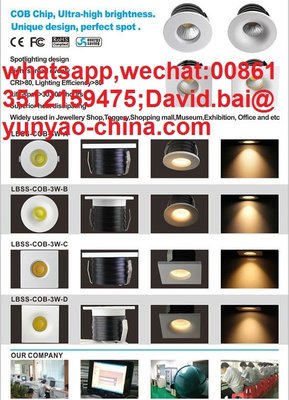 LBSS-COB-3W-C Cabinet Light