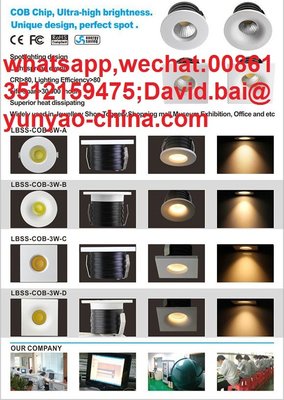 LBSS-COB-3W-A Cabinet Light