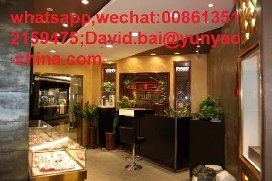 COB 6W Led Spotlight