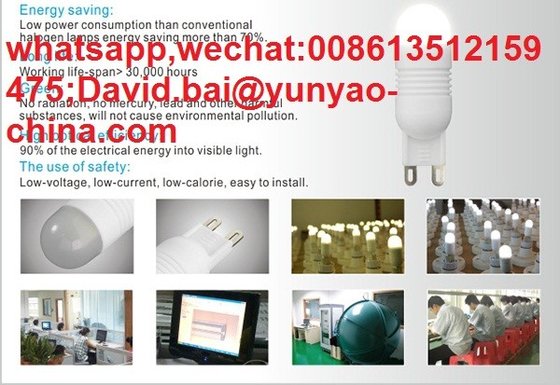 2W LED G9 LAMP