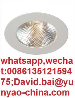 Popular Led Down light from chinese factory