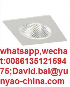 Popular Led Down light from chinese factory