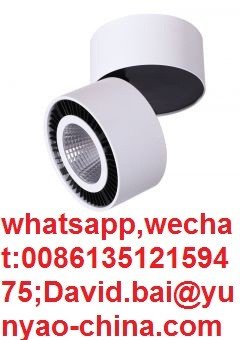 Popular Led Down light from chinese factory