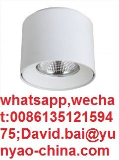 Popular Led Down light from chinese factory