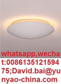 Popular Led Down light from chinese factory