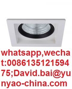 Popular Led Down light from chinese factory