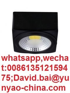 Popular Led Down light from chinese factory