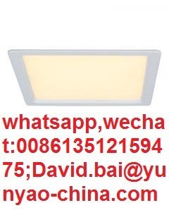 Popular Led panel light from chinese factory