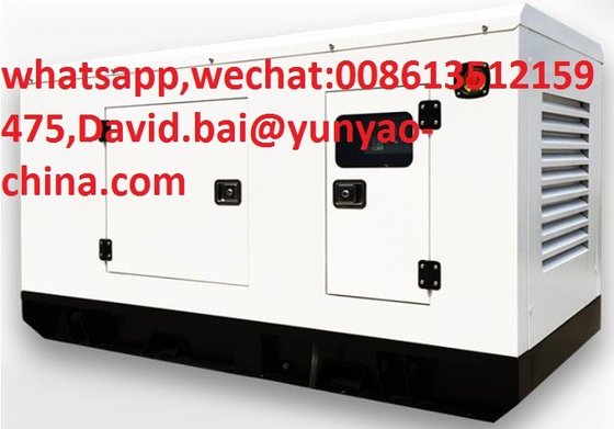Low RPM Magnetic Motor Energy Alternator Generators 60HZ 10KW Single Phase AC 220V