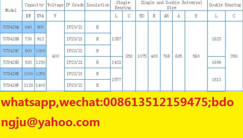 TCU428 Series medium voltage submarine generator from chinese factory