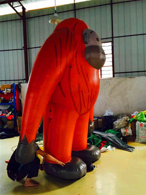 Event / Show Inflatable Costumes Various Design With Beautiful Digital Printing