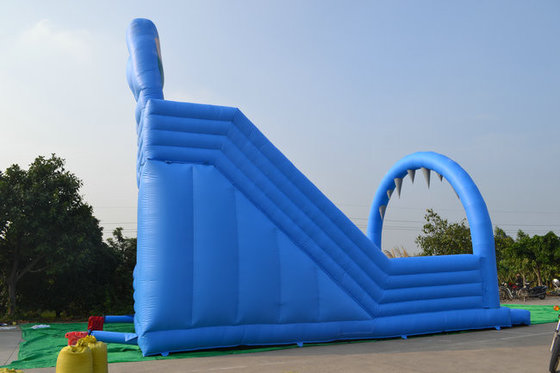 Funny PVC Fireproof Tarpaulin Commercial Inflatable Water Slides Blue