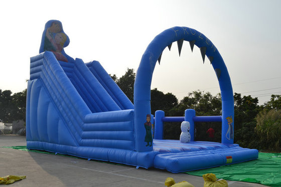 Funny PVC Fireproof Tarpaulin Commercial Inflatable Water Slides Blue