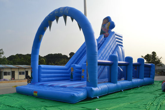 Funny PVC Fireproof Tarpaulin Commercial Inflatable Water Slides Blue