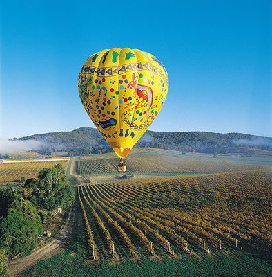 Colorful Outdoor Inflatable Hot Air Balloon For Tourism , Hot Air Balloon Flights