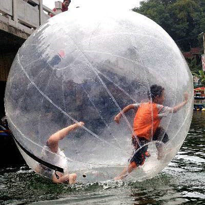 Attractive Unique Inflatable Human Ball Walking On Swimming Pool Clear