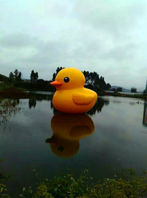 Cute Custom Inflatable Products 16m Water Floating Yellow Duck