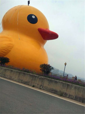Gaint Custom Inflatable Products , Advertising Air Sealed Inflatable Duck