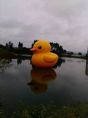 Fireproof Yellow Duck Inflatable Model Unique For Commerical Promotion