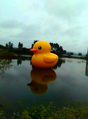 Giant Custom Inflatable Products , 9 - 26m Water Floating Inflatable Yellow Duck