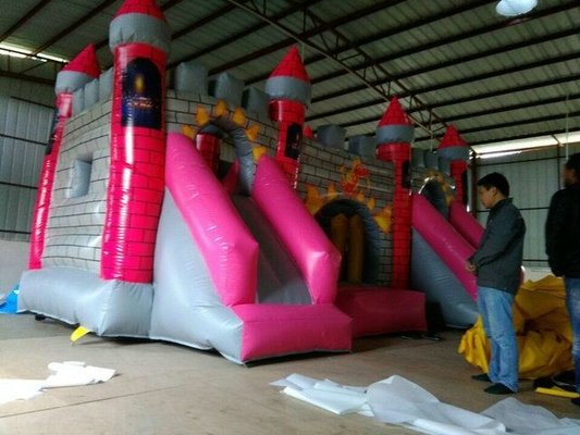 12m x 10m Castle Inflatable Dry Slides Dragon Cartoon Fireproof High Tension