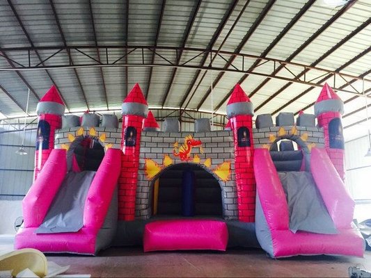 12m x 10m Castle Inflatable Dry Slides Dragon Cartoon Fireproof High Tension