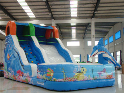 Blue 0.9mm PVC Tarpaulin Adults Infalatble Water Sport Toys Outdoor Popular