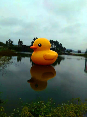 Cheap and Popular Gaint Inflatable Promotion Yellow Duck, Inflatable