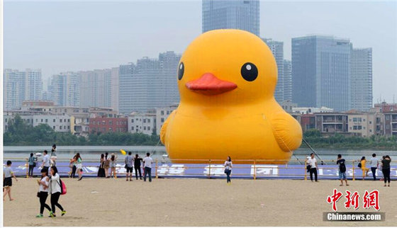 Cheap and Popular Gaint Inflatable Promotion Yellow Duck, Inflatable