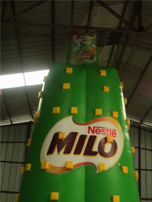 Green Home Climbing Wall , PVC Tarpaulin Rock Climbing Wall For Kids