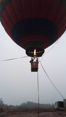 Customize Promotional Balloons / Outdoor Balloons Advertising With Excellent Peeling