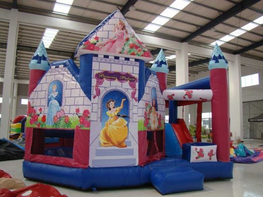 Kids Funny Cartoon Bouncer Castle PVC Trapaulin Fireproof EN71