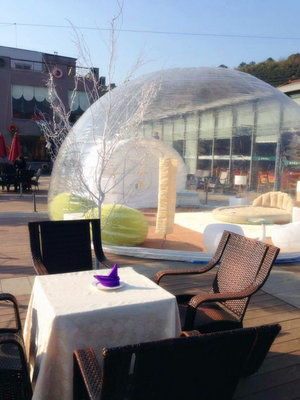 Transparent Inflatable Tent / Outdoor Romantic Inflatable Bubble House