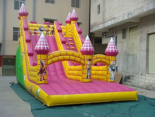 Interesting Customized Inflatable Products Outdoor Inflatable Water Slide For Kids
