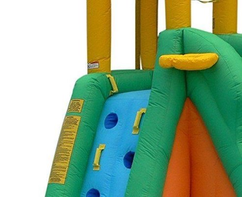 Kids PVC Giant Inflatable Water Slide With Swimming Pool SGS Certification