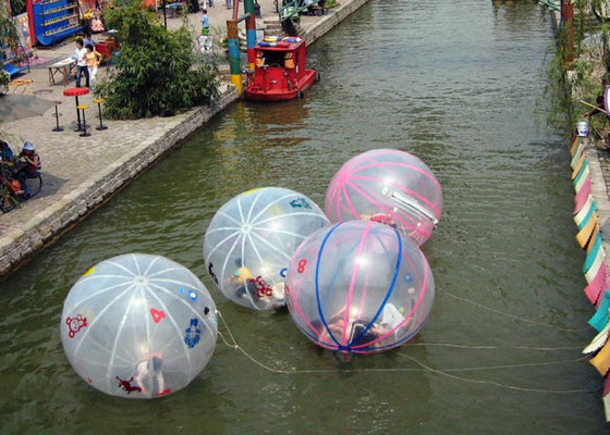 Professional Inflatable Walking Ball Digital Printing For Amusement Park