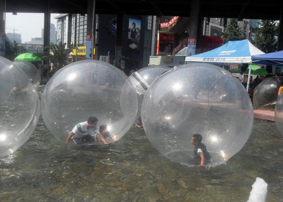 Durable 0.8mm Transparent PVC Giant Inflatable Hamster Ball For Amusement Water Park