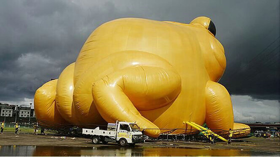 Golden inflatable frog , Custom Inflatable Products inflatable insects
