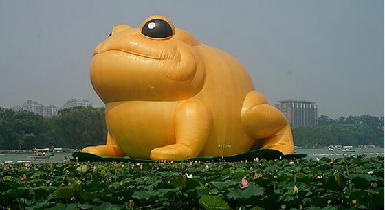 Golden inflatable frog , Custom Inflatable Products inflatable insects